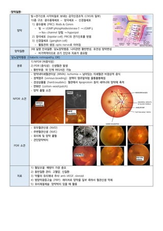 Opthal | PDF