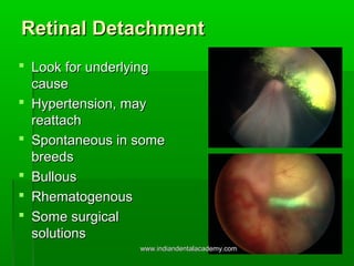 Opthalmic emergencies /certified fixed orthodontic courses by Indian ...