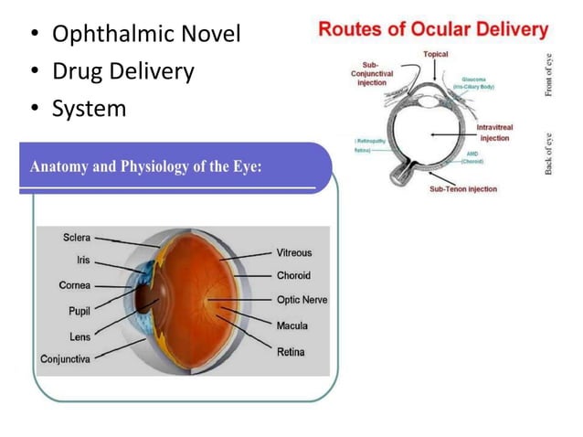 Opthalmic route of administration | PPTX | Eye and Vision Conditions ...