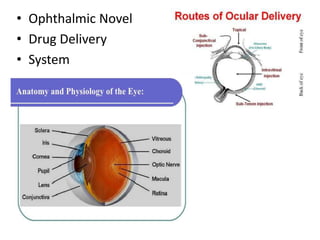 Ophthalmic Route