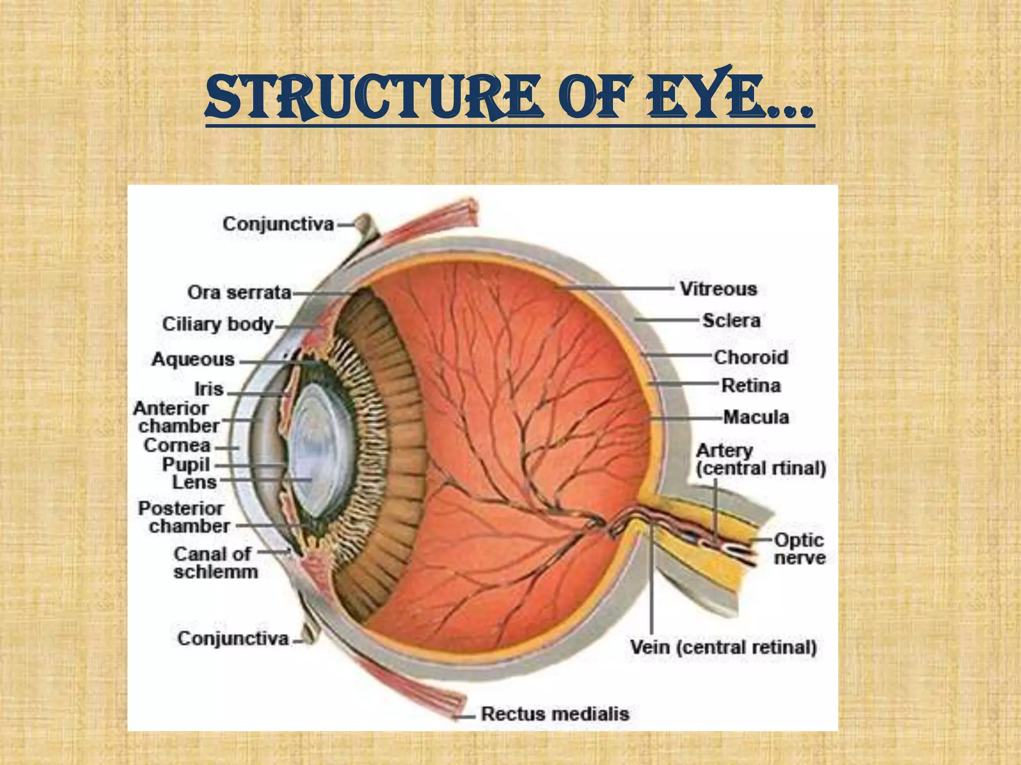 Opthalmics Preparation and its Evaluation parameters | PPTX