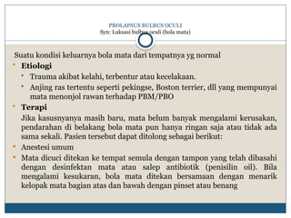 OPTHALMIC SURGERY VETERINER, LABORATORIUM BEDAH | PPTX