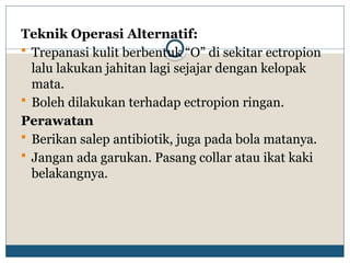 OPTHALMIC SURGERY VETERINER, LABORATORIUM BEDAH | PPTX