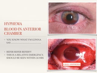 Opthalmic trauma pdf | PDF