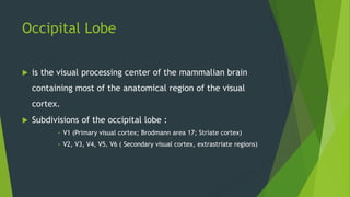 Opthalmic tumours | PPT