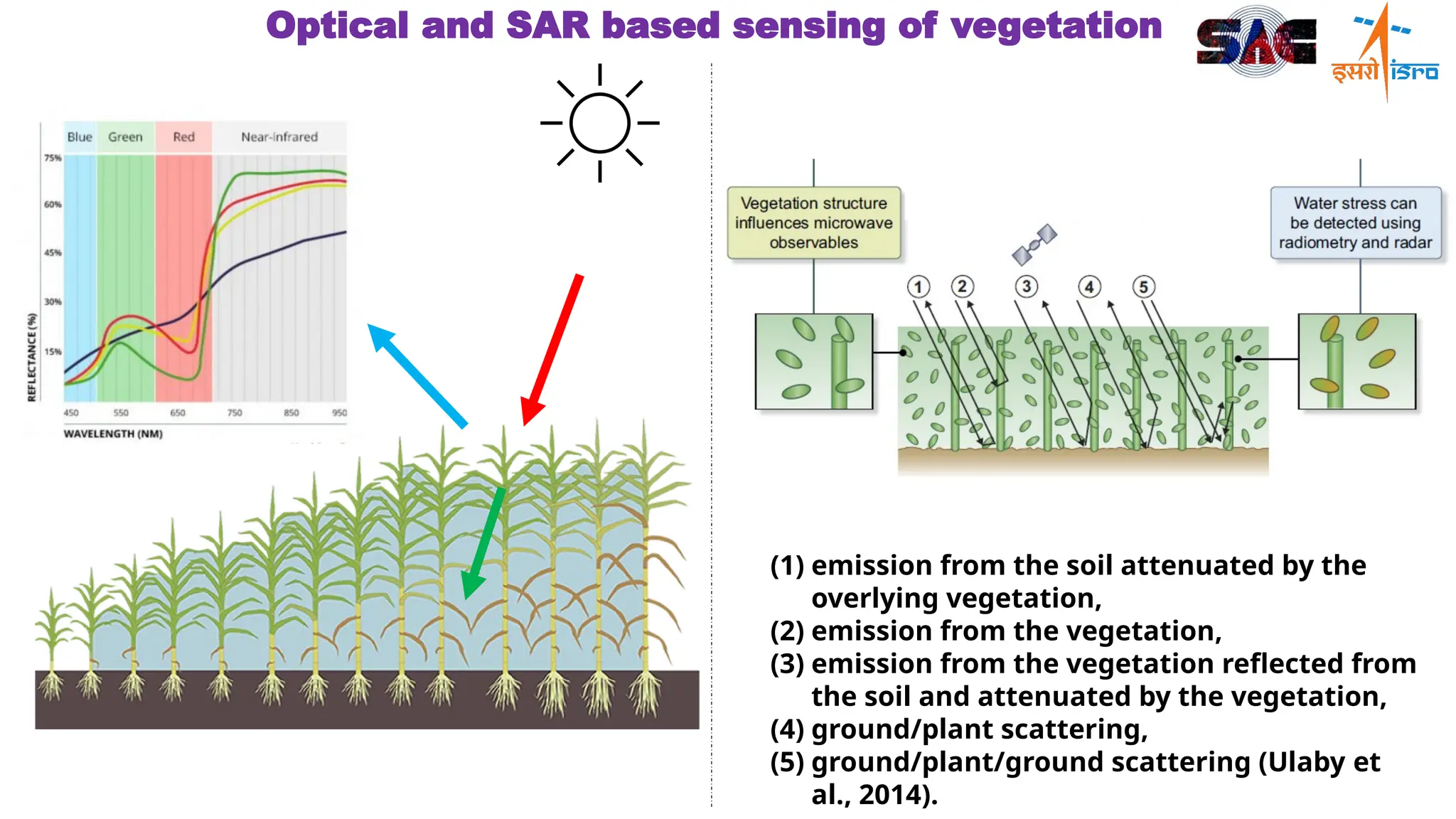 Opti-SAR_sensing of vegetation in Satellite | PPTX