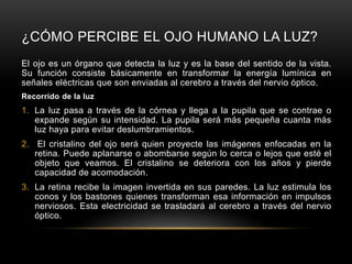 Optica | PPTX