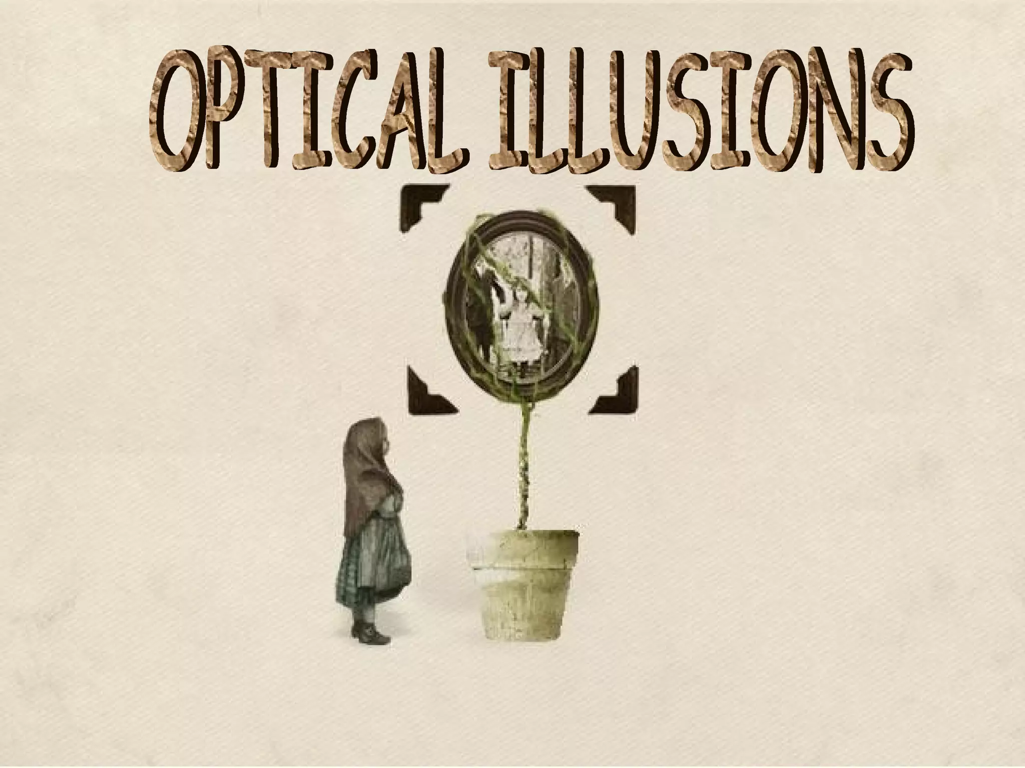 Optical Illusions | PPT