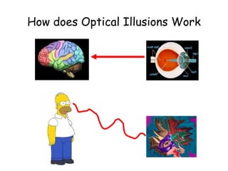 Optical Illusions | PPT | Free Download