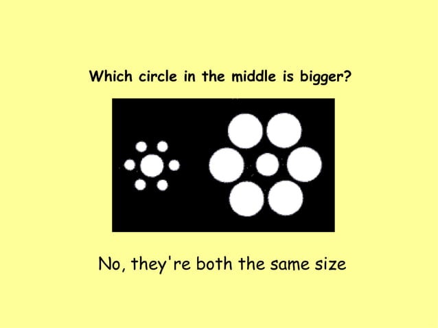 Optical Illusions | PPT