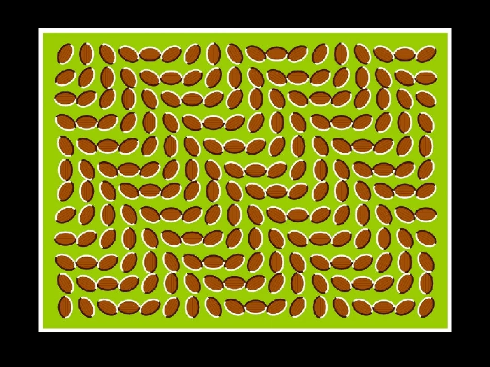 Optical illusion compilation | PPT