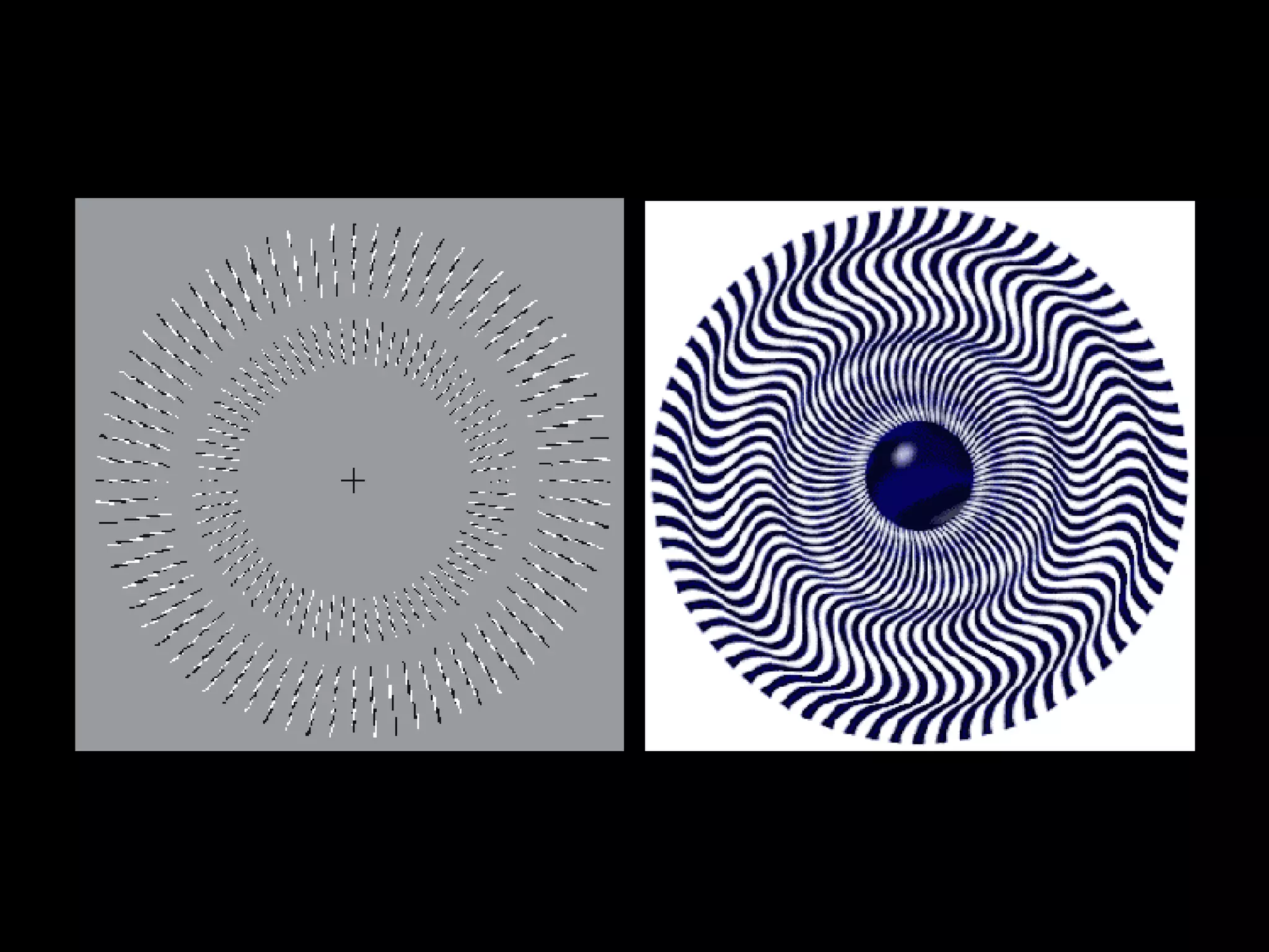 Optical illusion compilation | PPT