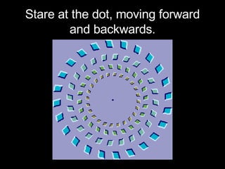 Optical illusion compilation | PPT