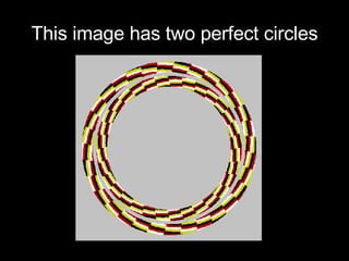 Optical Illusion Compilation Ppt