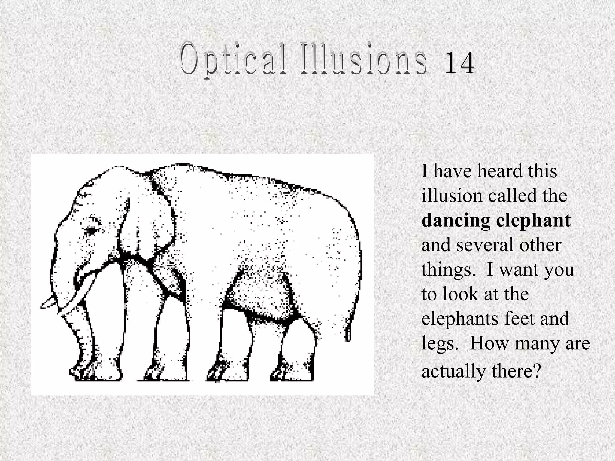 Optical Illusions | PPS