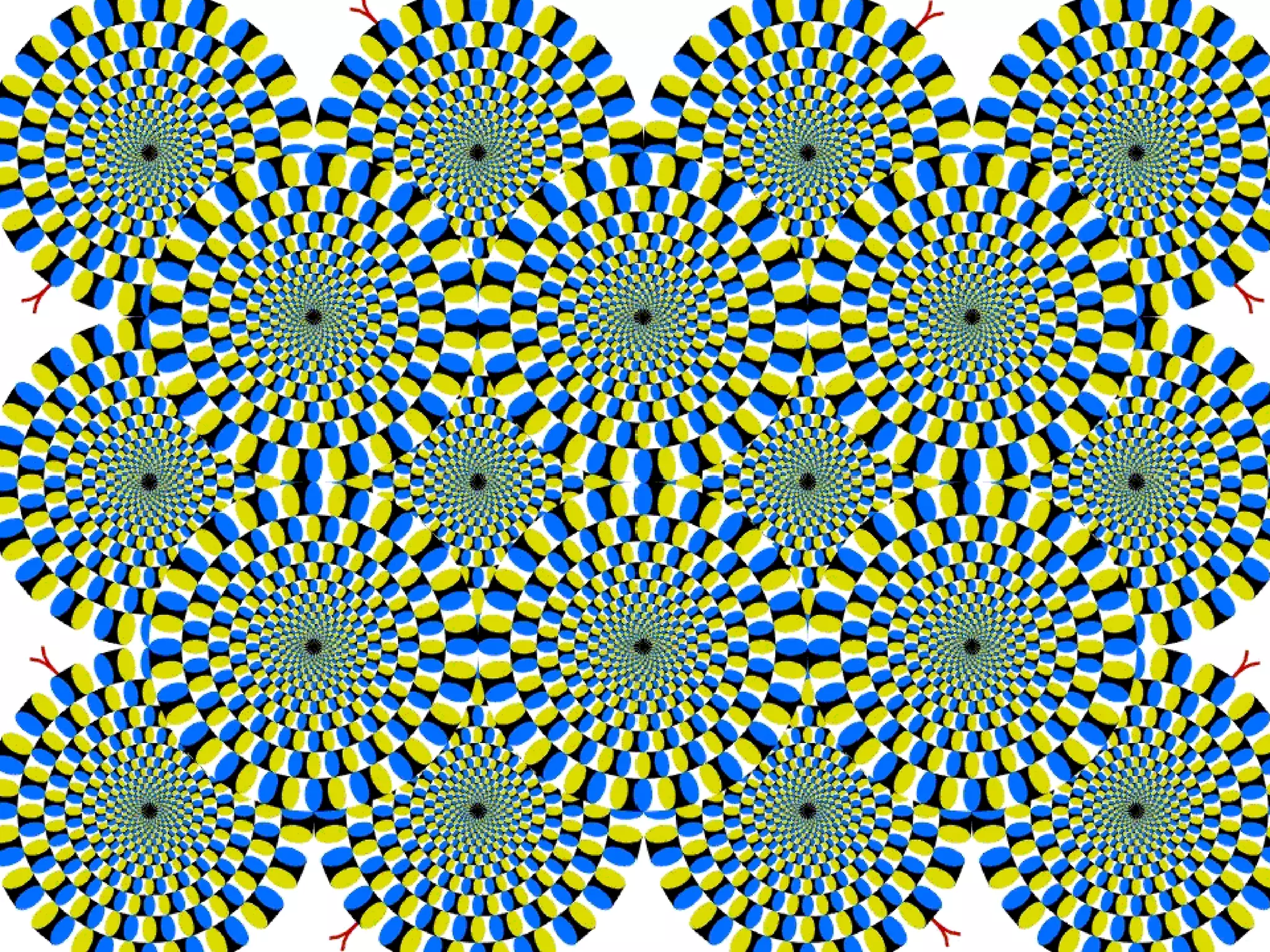 Optical illusions-collection-power-point | PPT
