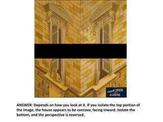 Optical Illusions I | PPTX