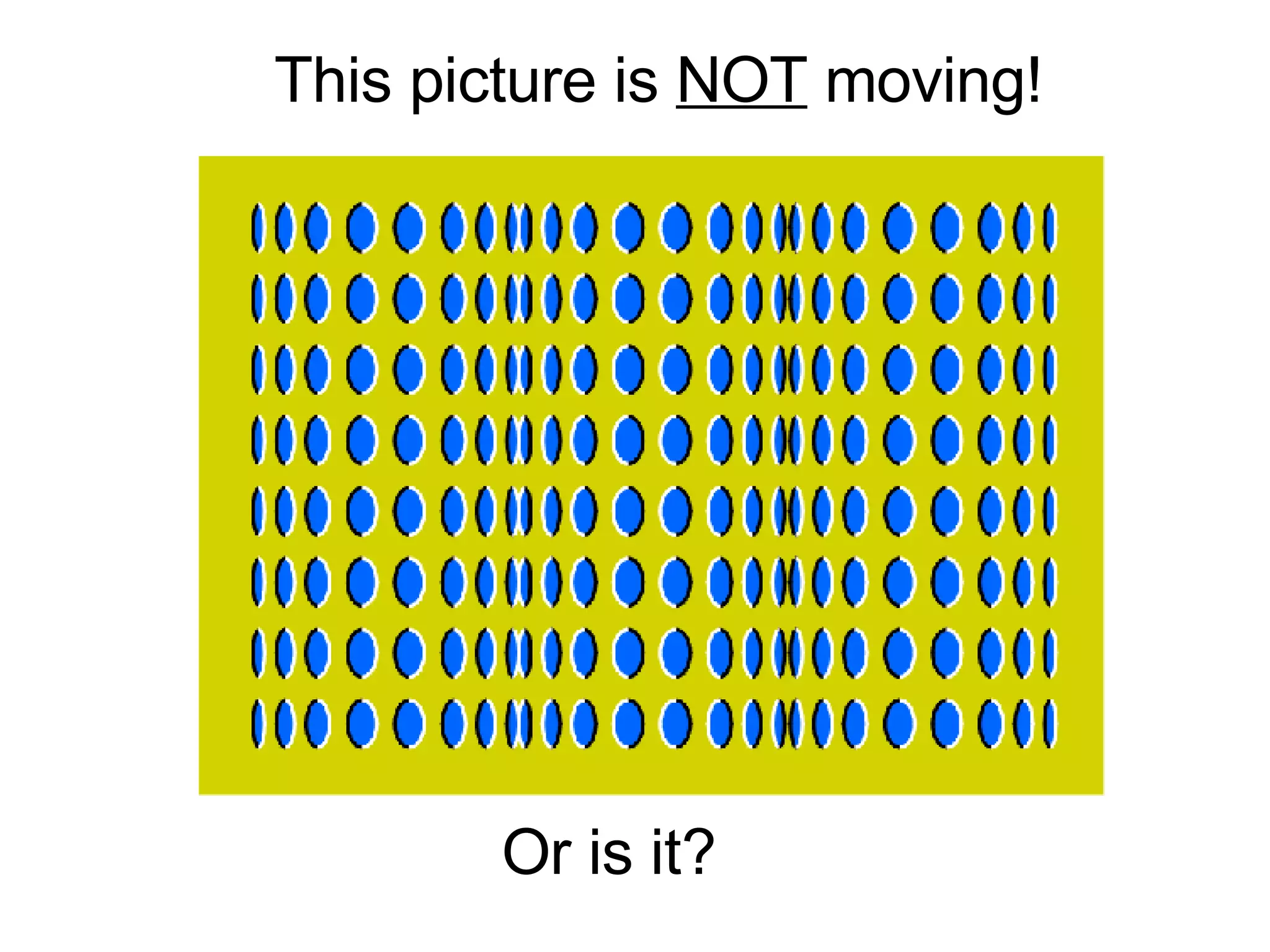 Optical Illusions | PPT