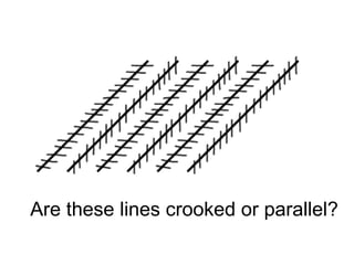 Optical Illusions | PPT | Free Download