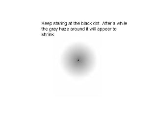 Optical Illusions | PPT