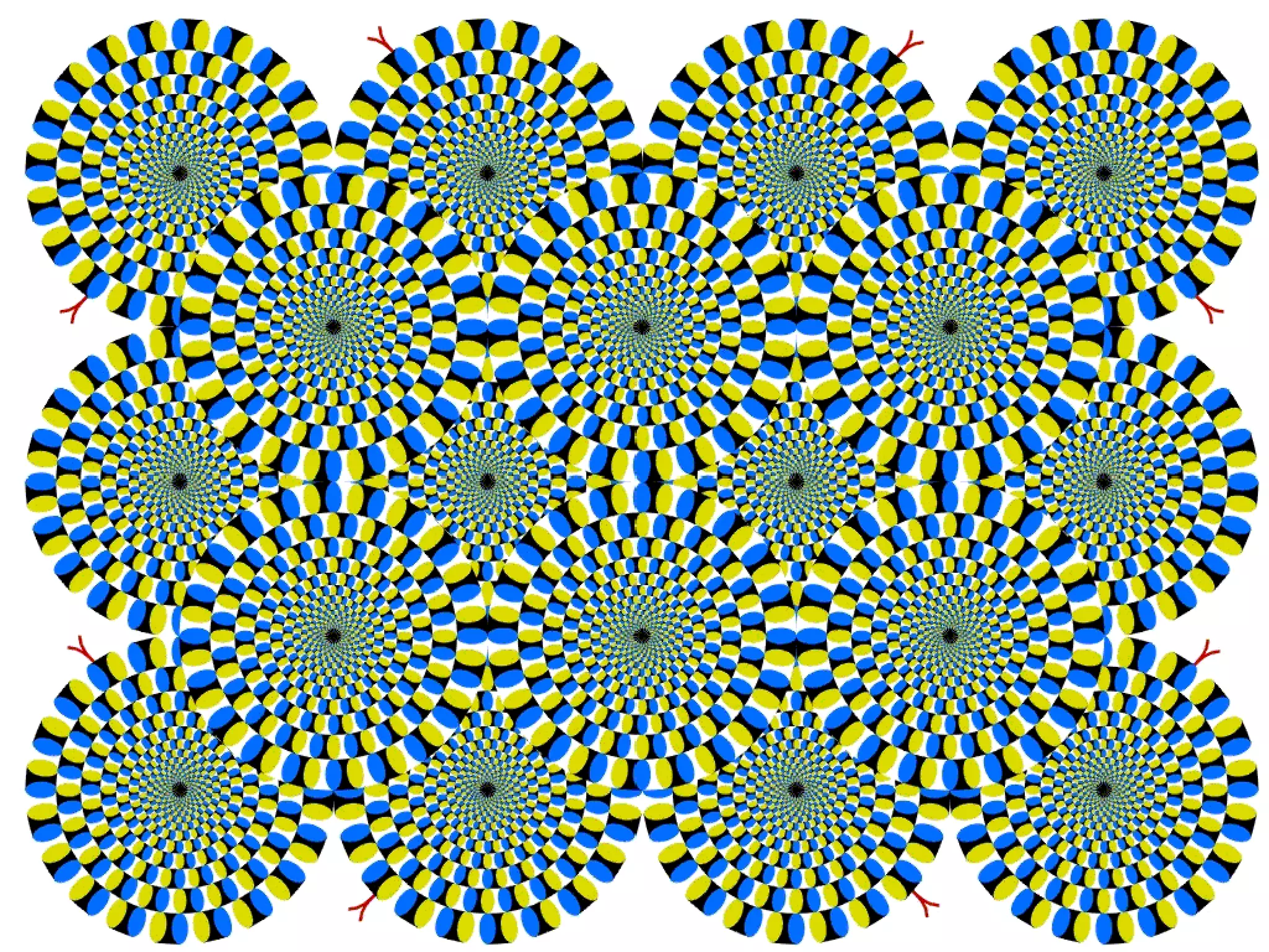 Optical Illutions... You Must See....... | PPS