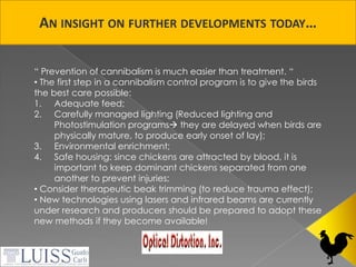 Optical Distortion, Inc | PPTX