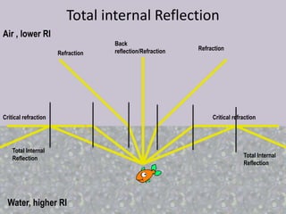 fundamentals of optical fiber | PPTX
