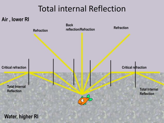 fundamentals of optical fiber | PPTX | Physics | Science