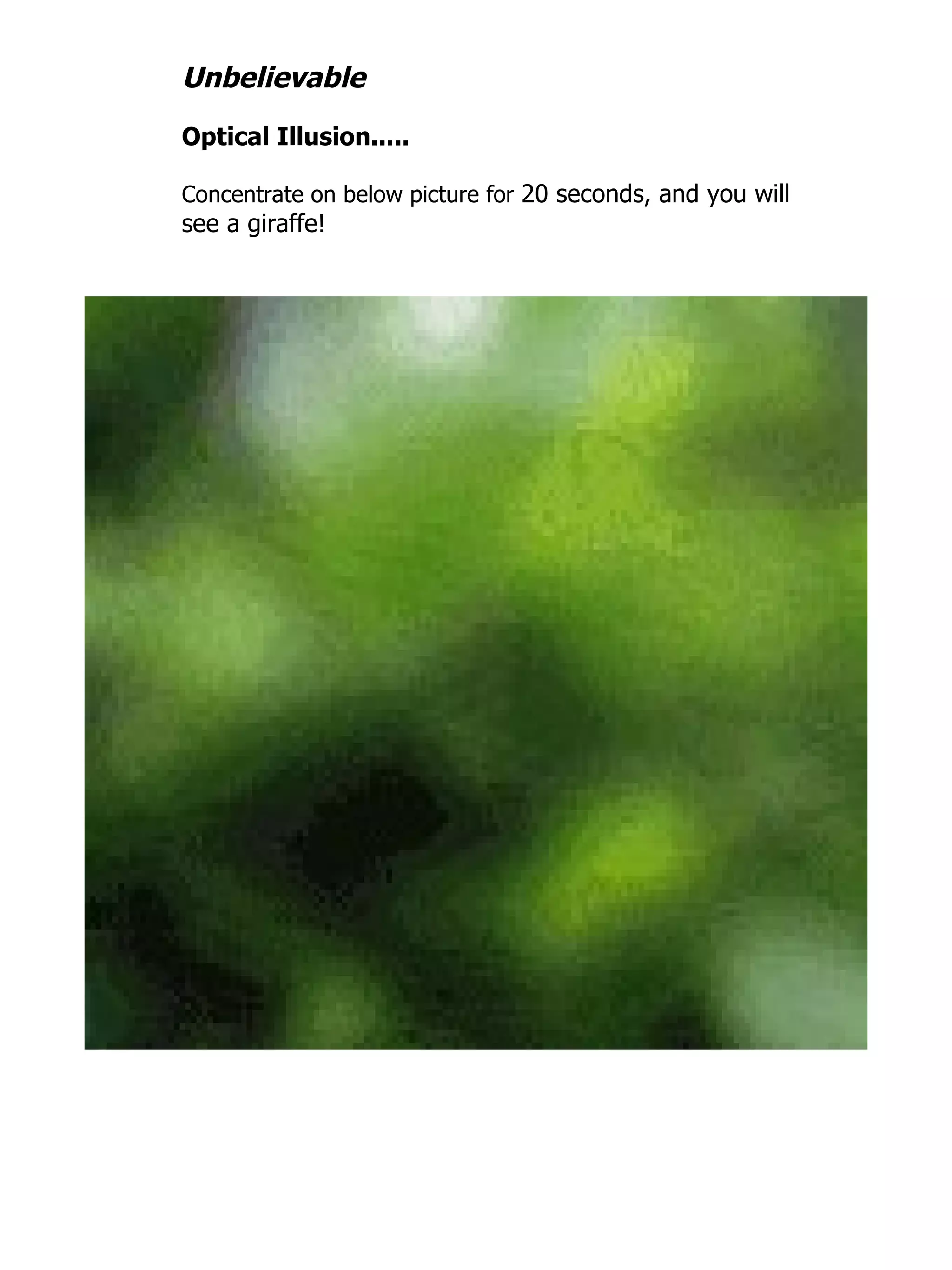 Optical Illusion Pps