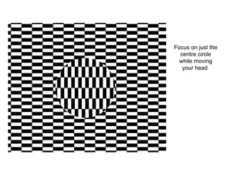 Easy Optical Illusions Black And White