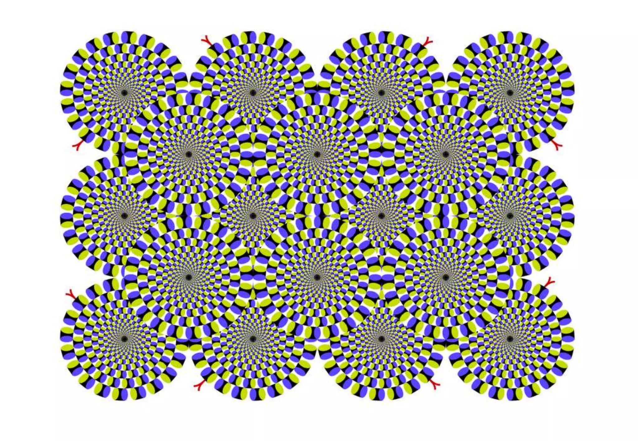 Optical illusion | PPT