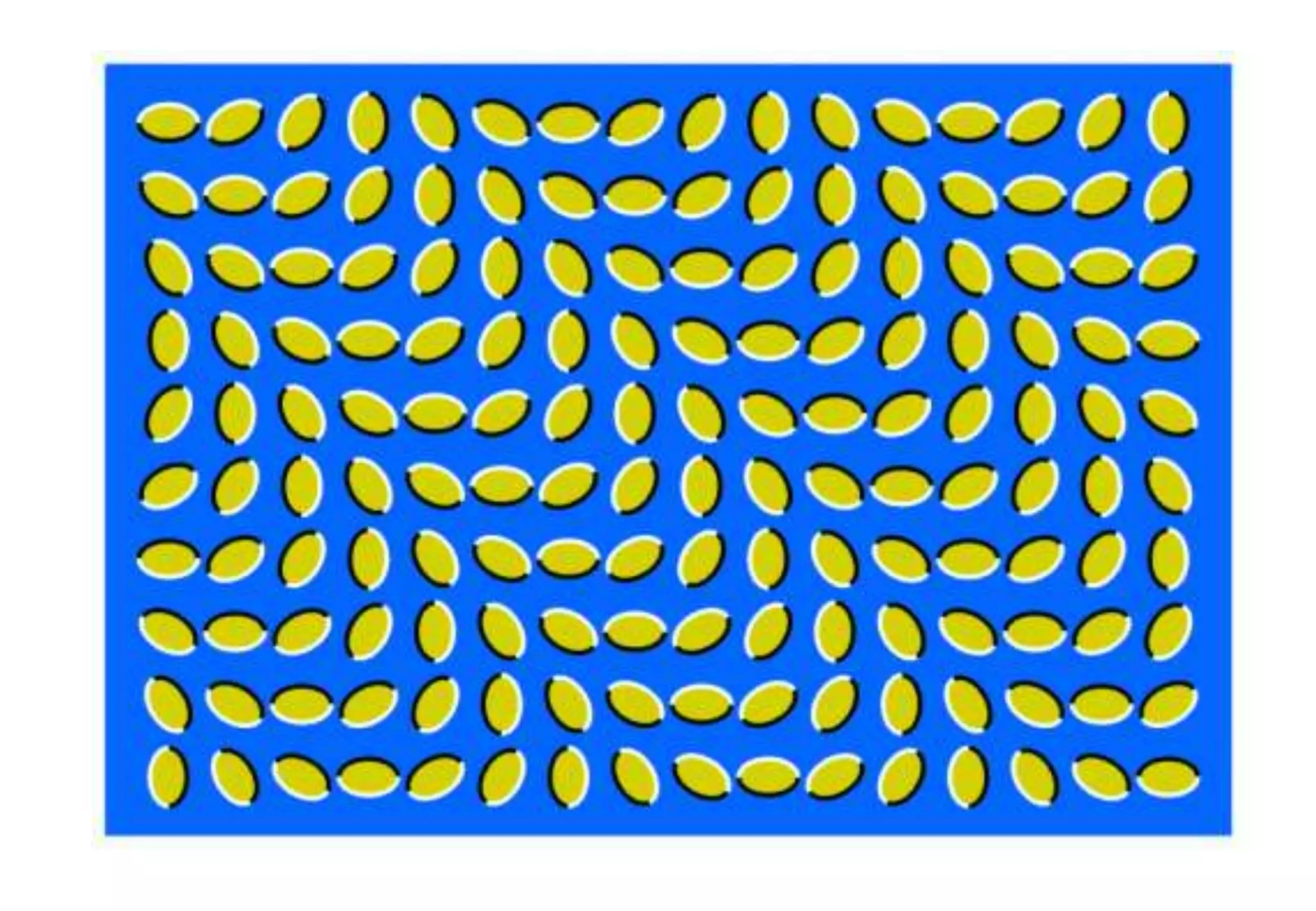 Optical illusion | PPT
