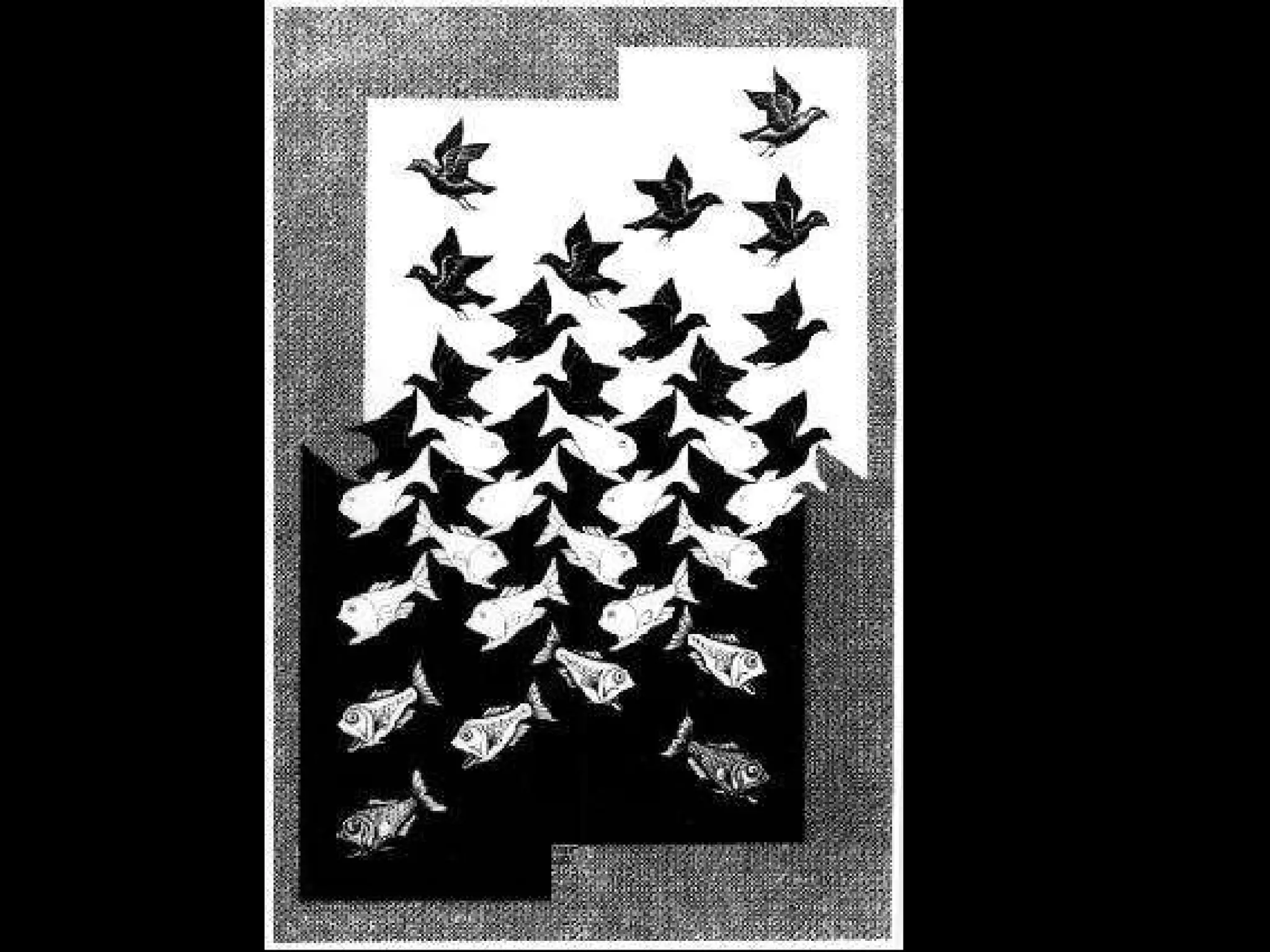 Optical Illustions with emphasis on Escher | PPT