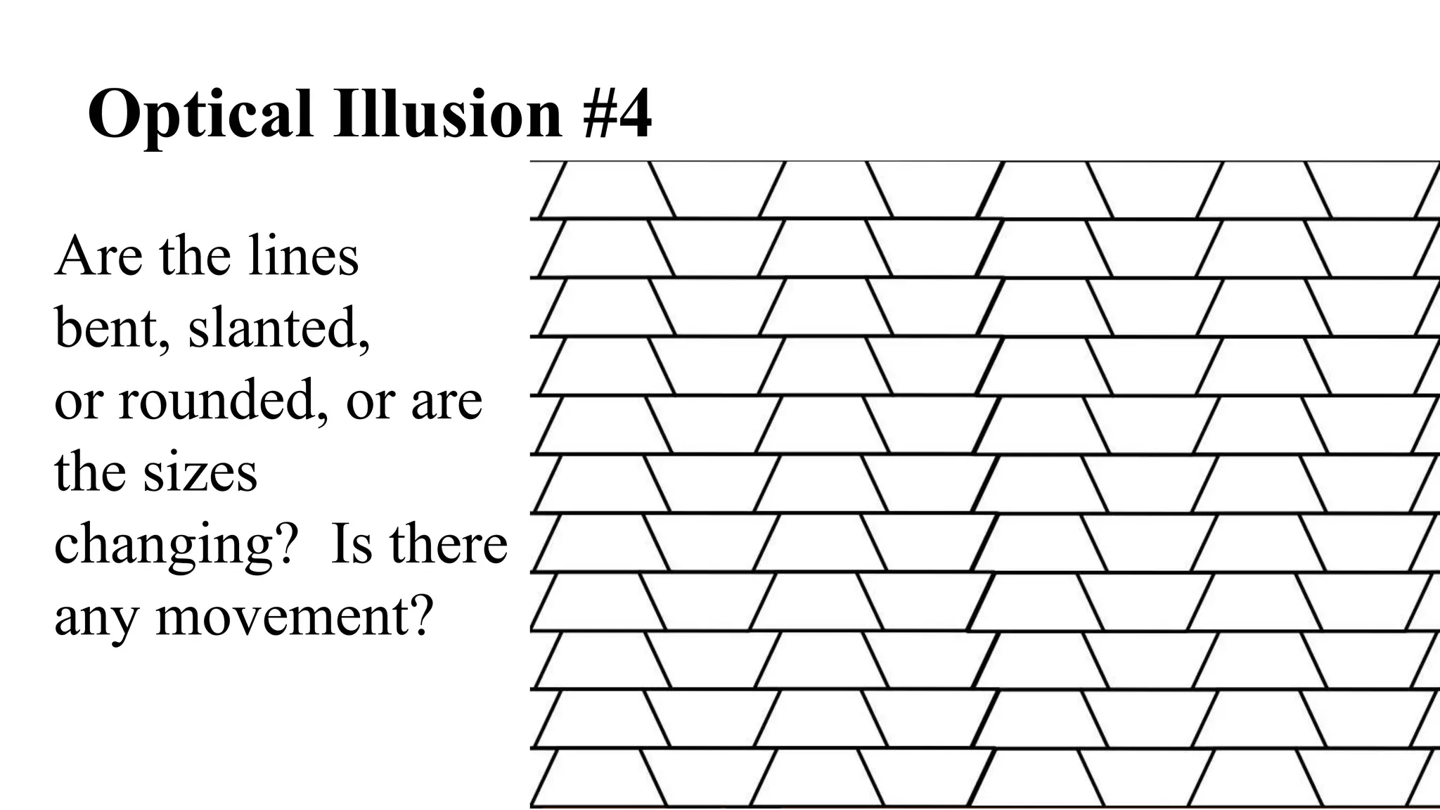 Optical illusion project | PPTX