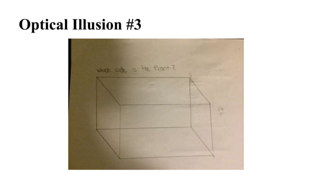 Optical illusion project | PPTX
