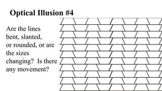Optical illusion project | PPTX