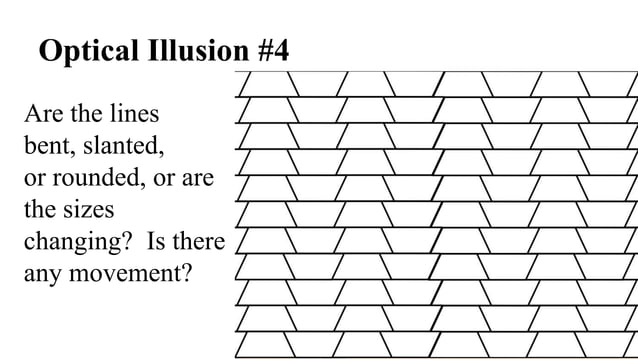Optical illusion project | PPTX