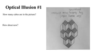 Optical illusion project | PPTX