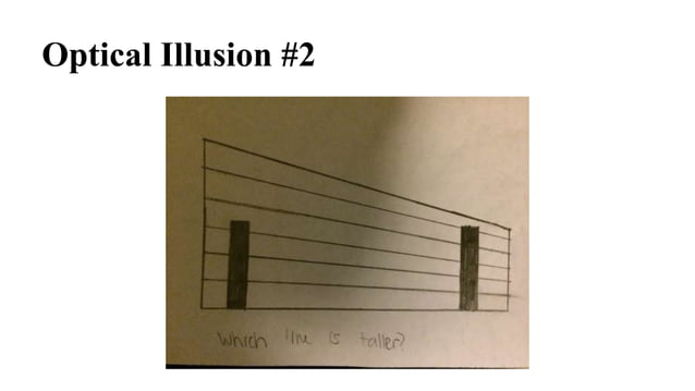 Optical illusion project | PPTX