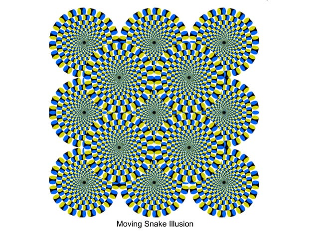 Optical Illusions | PPT | Physics | Science