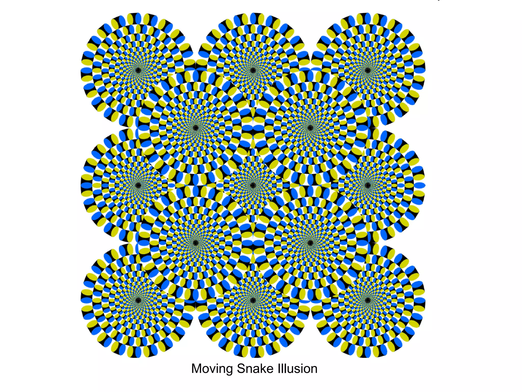 Optical Illusions | PPT