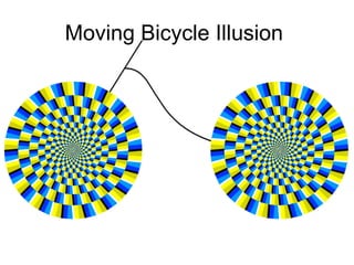 Optical Illusions | PPT