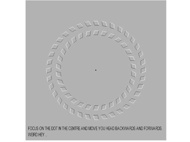 Optical Illusions | PPS