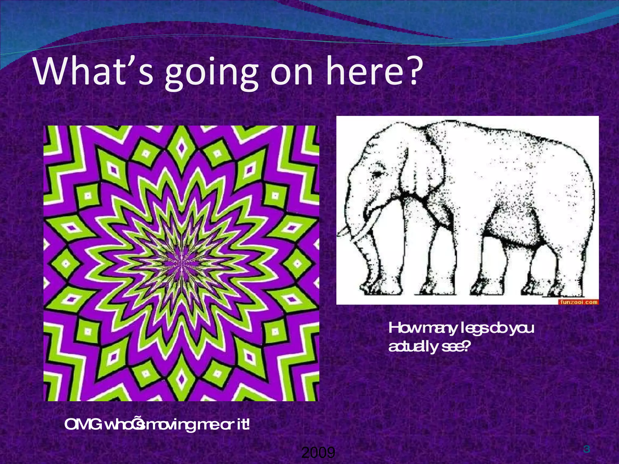 Optical Illusions | PPT