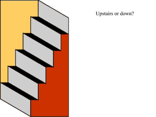 Optical Illusions Stairs Up Or Down