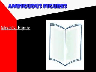 Ambiguous Figures Examples
