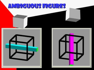 3d Ambiguous Figures