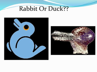 Optical illusions | PPTX