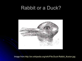 Optical Illusions | PPT | Magic and Illusion | Hobbies & Interests