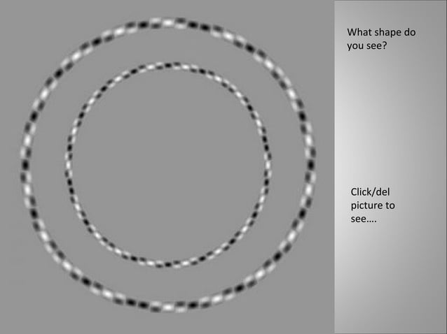 Optical illusions | PPT